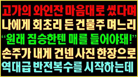 반전실화사연 고가의 와인 잔 마음대로 썼다며 나에게 회초리 든 건물주 며느리 원래 짐승한텐 매를 들어야 돼” 손주가 내게 건넨 사진 한 장으로 역대급 반전복수를