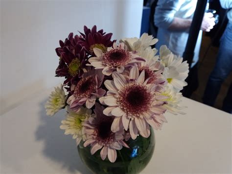 Mobile Review Com Asus Zenfone Max Plus