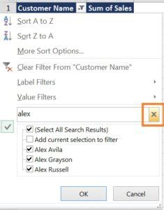Filter Data Using Search Box In Pivot Table ExcelVbaSkillsup