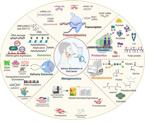 Salivary Biomarkers In Non Invasive Oral Cancer Diagnostics A