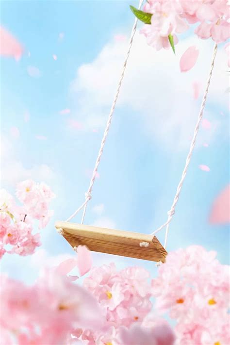 Spring 花瓣网