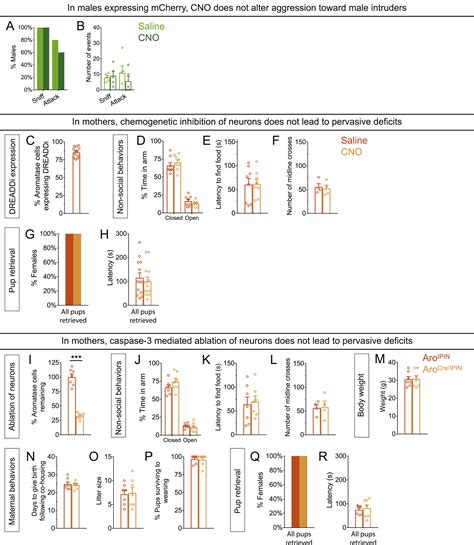 Limbic Neurons Shape Sex Recognition And Social Behavior In Sexually Naive Males Cell