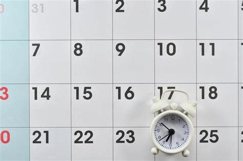 Ithy 揭秘信息的时效性：我的知识更新到哪一天？