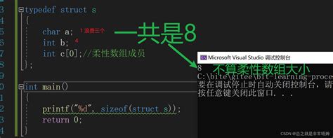 C语言进阶部分详解（《高质量c C编程》经典例题讲解及柔性数组）c语言经典编程题 Csdn博客