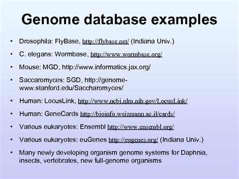 Genome Database Information System For Daphnia
