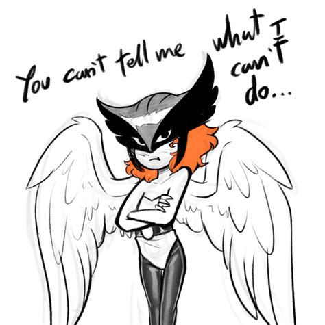 Small Hawk By Soulcentinel