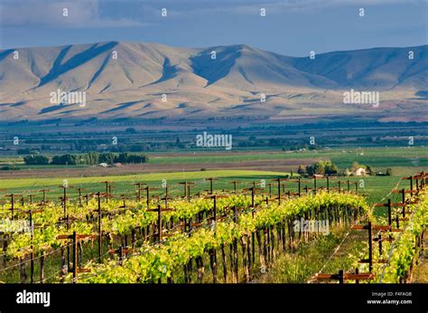 Usa Washington Yakima Valley View Towards Yakima Nation Reservation