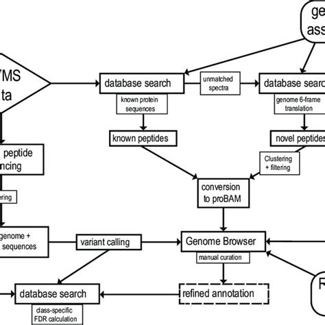 Schematic Representation Of The Data Analysis Pipeline Generated Msms