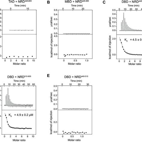 B Myb Nrd 510 600 Directly Binds Dbd A Isothermal Titration
