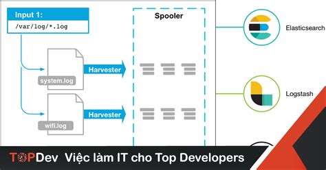 Hướng dẫn sử dụng filebeat để đọc và quản lý logs hệ thống nginx trên ubuntu TopDev