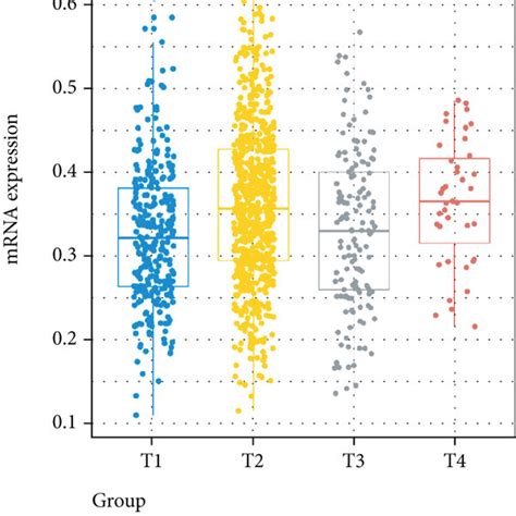 Association Between Mrnasi Of Tcga Brca And Clinical Features And Tumor Download Scientific