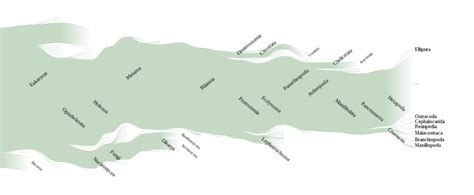 GitHub Oseiskar Tree Of Life Tree Of Life Visualization Using D3 Js