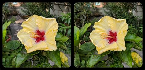 My First Forays In Stereoscopic 3d Photography By Sroyon 35mmc