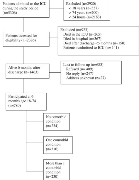 Outline Of The Protocol Of The Study Download Scientific Diagram