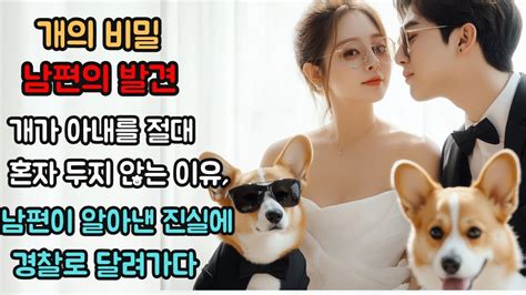 반전사연개가 아내를 절대 혼자 두지 않는 이유 남편이 알아낸 진실에 경찰로 달려가다 Tv 실제사연 실제사연tv