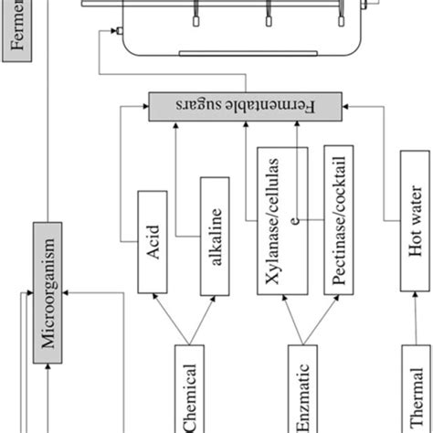 4 General Process For Ethanol Production Using Pretreatment Of Sugar Download Scientific