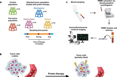 Enabling Early Detection Of Cancer With Ai Based Chromatin Biomarkers Capestart