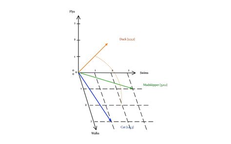What Are Vector Embeddings Applications Use Cases And More Datastax