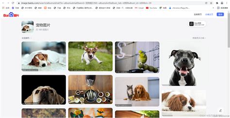 Pyhon爬虫之爬取图片亲测可用python爬虫图片 Csdn博客 Pyhon爬虫之爬取图片亲测可用python爬虫图片 Csdn博客