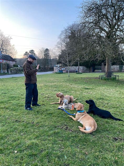 Summit Dog Training Uk