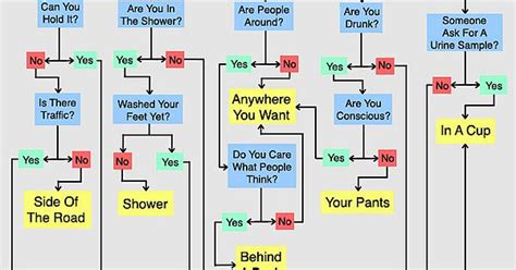 Where You Should Pee [flowchart] Imgur