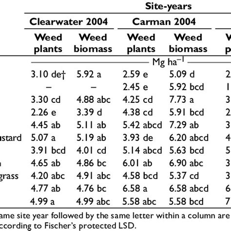 The Effect Of Intercrop Treatment On Wheat Biomass At Maturity And