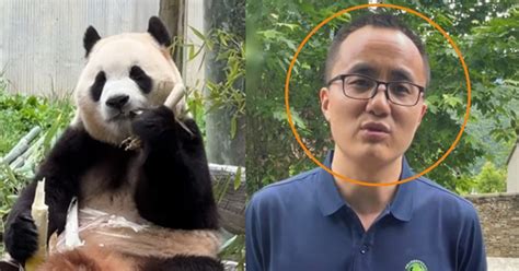 이럴 줄은 정말 몰랐네요 푸바오 담당 사육사 인터뷰 팬들 모두 흐뭇한 내용 올라왔다 개감동이양