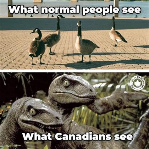 25 Of The Most Hilarious Canadian Memes That Show How Different