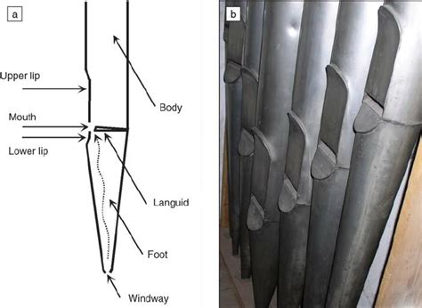 A Schematic Illustration Of A Baroque Organ Flue Pipe Dotted Line