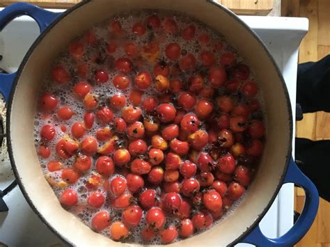 Food For Free How To Make Hawthorn Jelly Modern Farmer