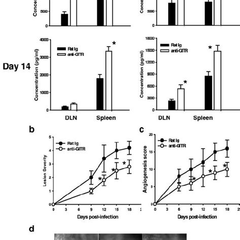 Anti Gitr Mab Treatment Enhanced Granzyme B Level And In Vivo Cd8 ϩ Download Scientific Diagram