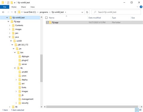 new fiji launcher console window in win64 usage and issues image sc
