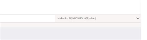 SocketIO The Connected Socket Id Would Be Copied When Clicking On It Issue 9 Firecamp Io