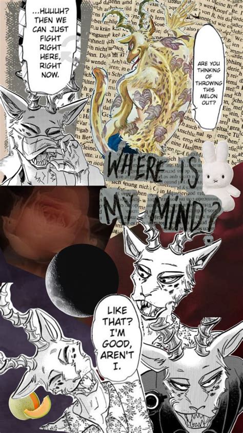 Melon Beastars Collage In 2025 Wallpaper Melon Anime