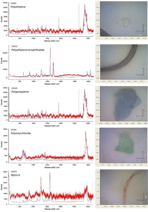 Raman Spectra Of Microplastic Fragments And Their Photos On The Right Download Scientific