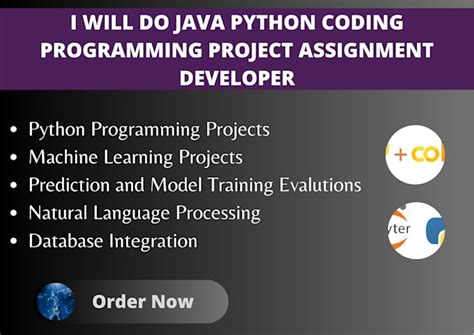 Java Python Coding Programming Project Assignment Developer By Zipi Tech Fiverr