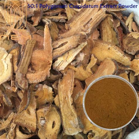 Nandm 50 1japanese Knotweed Extract Powder Polygonum Cuspidatum Rich In Resveratrol Supports