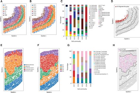 Tissue Module Discovery In Single Cell Resolution Spatial