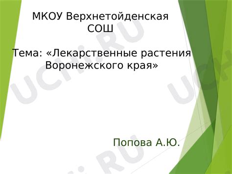 📈 Презентация №12 по теме “Презентация к уроку окружающего мира по теме Лекарственные растения