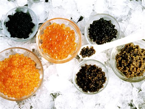 Black Gold A Comprehensive Guide To Types Of Caviar