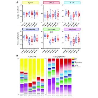 B Cell Clusters Graphs Showing The Number Of Cells ML At Timepoint Download Scientific