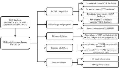 The Flow Chart Of Our Research Download Scientific Diagram