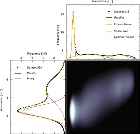 Joint Histogram And Individual Histograms Of The Registered Volumes
