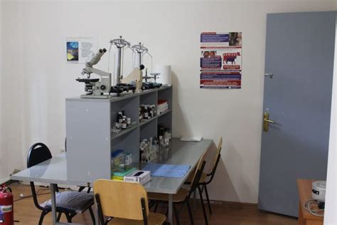 Home საზოგადოებრივი კოლეჯი კავკასიონი