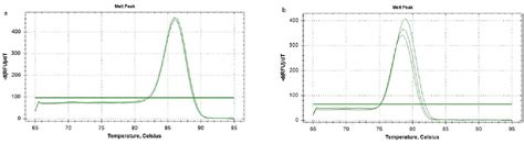 Figure 1 From A Duplex Sybr Green I Based Real Time Polymerase Chain Reaction Assay For Rapid