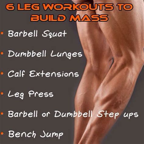 Leg Workout Best Leg Workout Leg