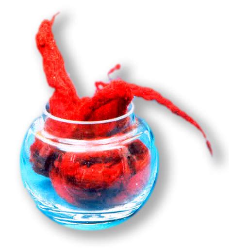 The Mysterious Secret Of How A Worm Preached The Gospel · Mini Manna Moments