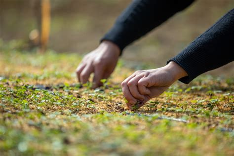 Envisioning Net Zero Food Systems A Roadmap To Achieving Net Zero