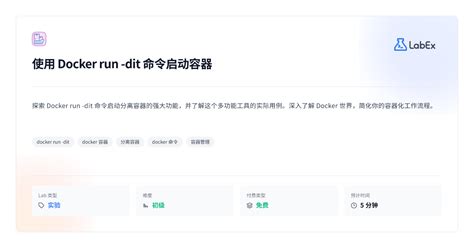 使用 Docker Run Dit 命令启动容器 Labex