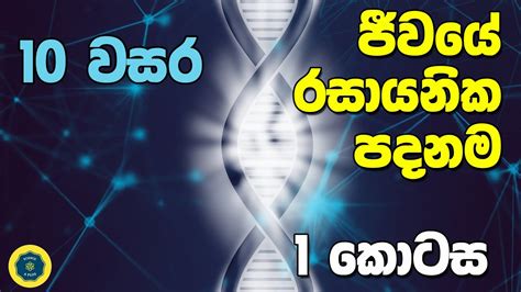 Grade 10 Science Paper Sinhala Medium At Stephen Jamerson Blog